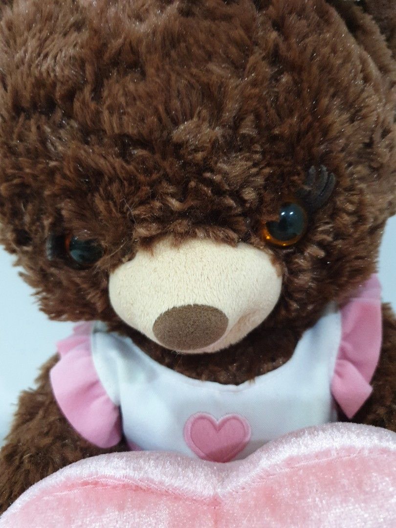 Disney Unibear Unibearsity Teddy bear Pudding Minnie Valentine plush ...