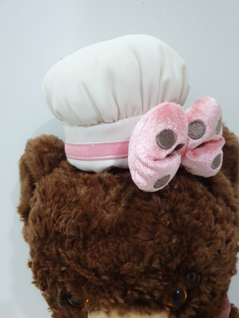 Disney Unibear Unibearsity Teddy bear Pudding Minnie Valentine plush ...