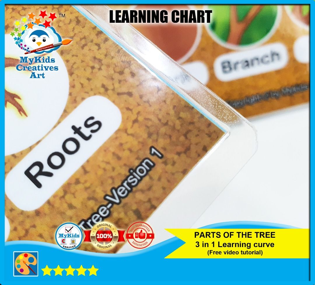 EDUCATIONAL CHART CARD TREE 3 IN 1 LEARNING CURVE, Hobbies & Toys, Stationery & Craft ...