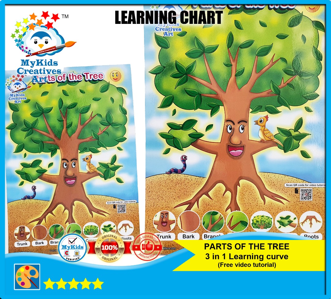 EDUCATIONAL CHART CARD TREE 3 IN 1 LEARNING CURVE, Hobbies & Toys ...