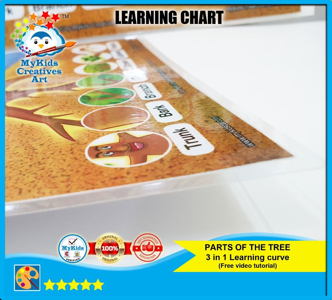 EDUCATIONAL CHART CARD TREE 3 IN 1 LEARNING CURVE, Hobbies & Toys ...