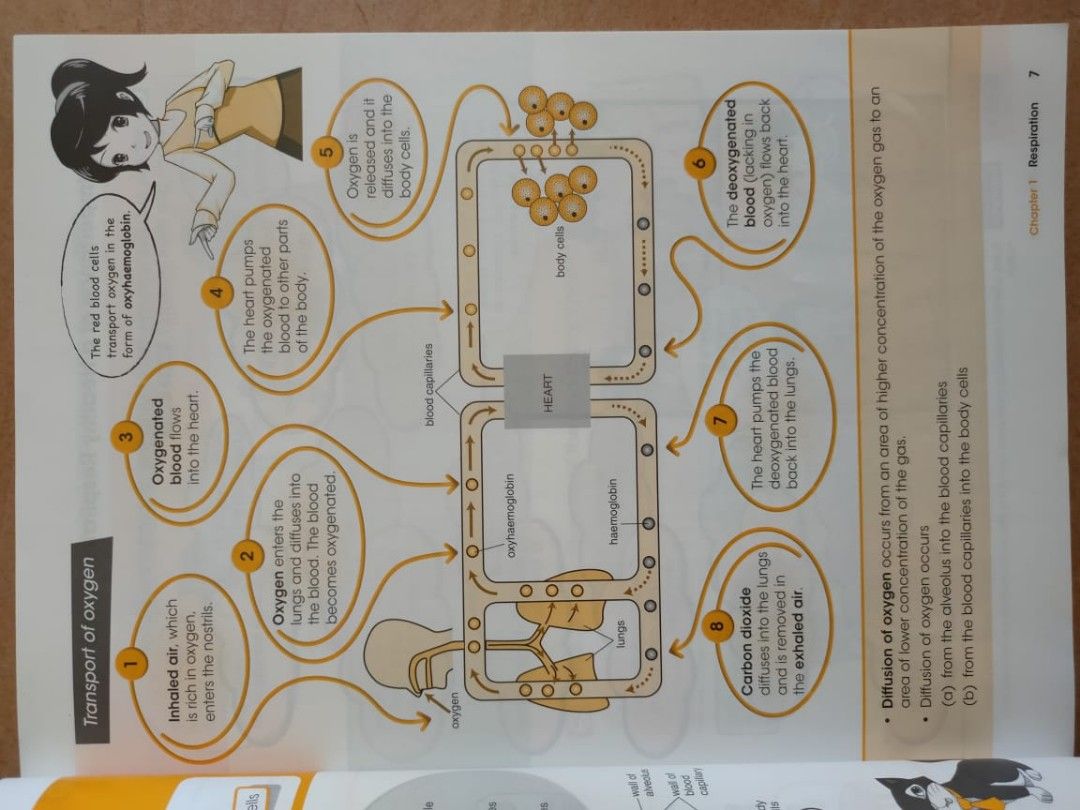 Form 3 Science Reference book, Hobbies & Toys, Books & Magazines ...