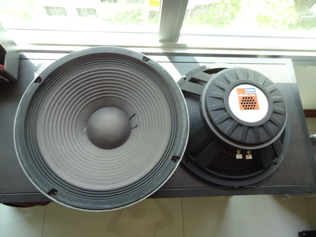 Fostex Laboratory Series 12" Woofer, Audio, Other Audio Equipment on ...