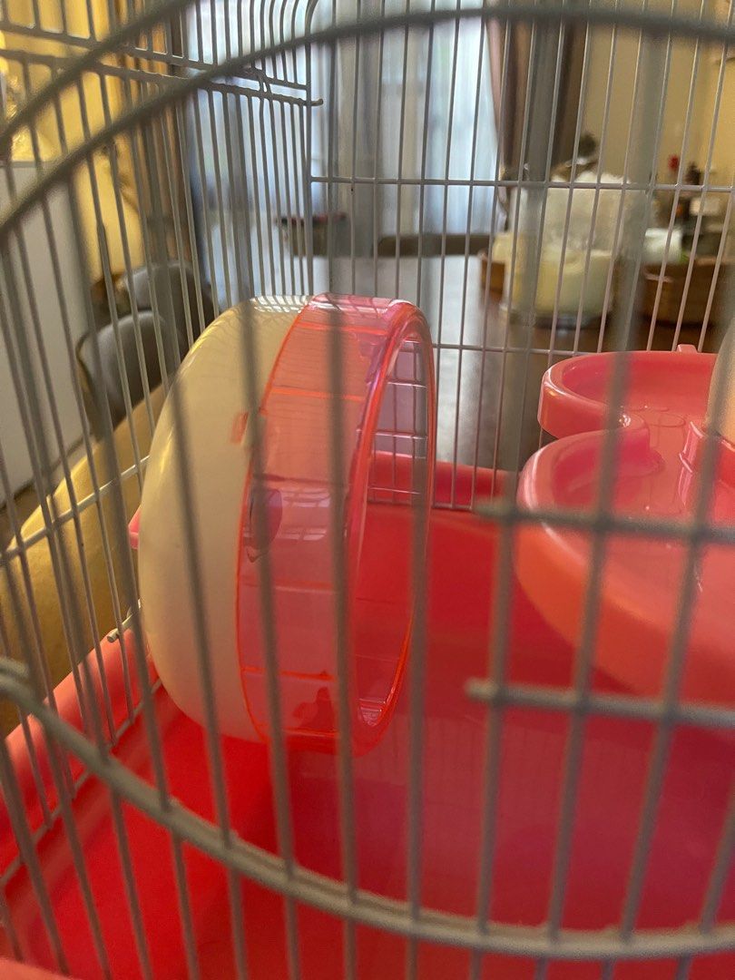 Hello kitty hamster cage, Pet Supplies, Homes & Other Pet Accessories ...