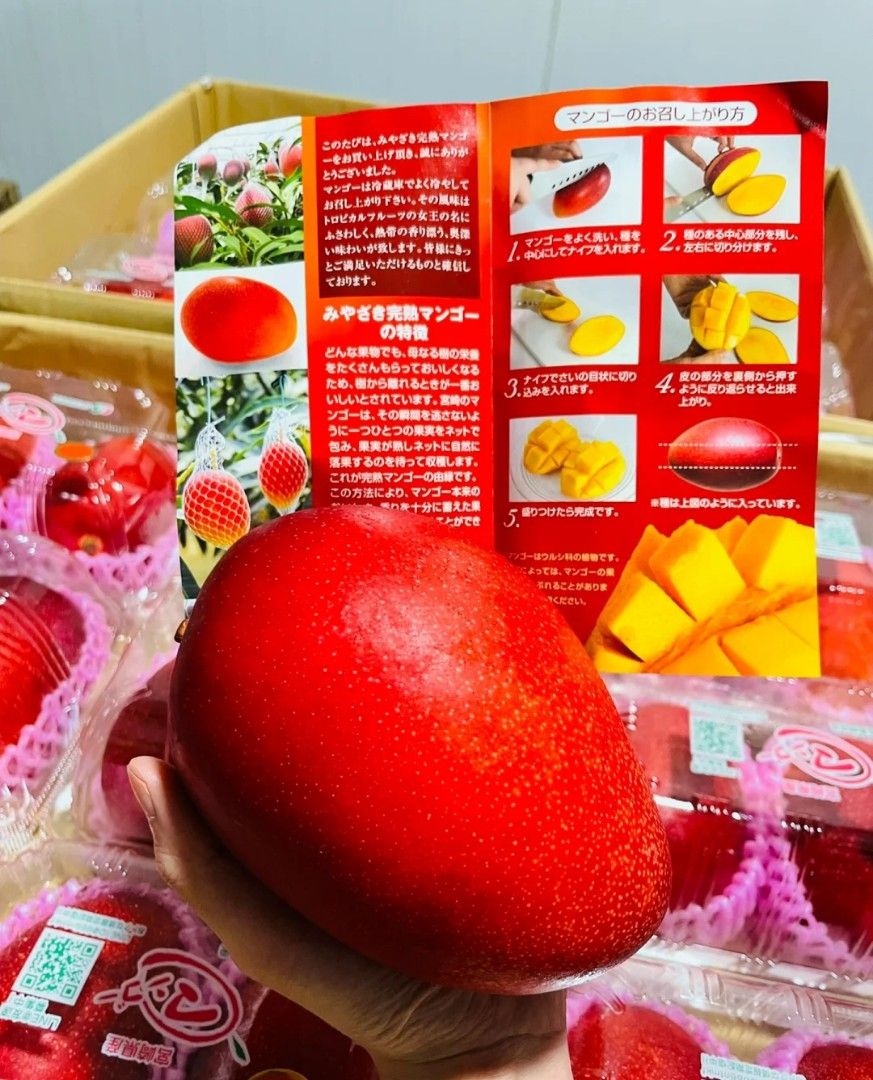 Japan Miyazaki Kanjuku Mango Egg of the sun, Food & Drinks, Fresh ...