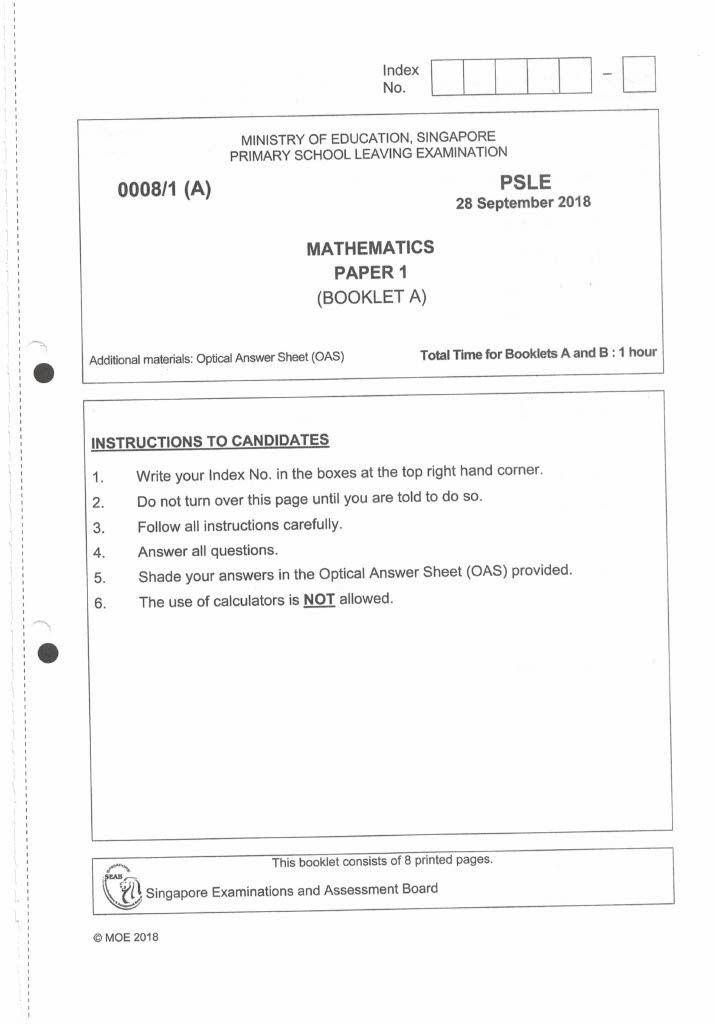 PSLE Math Exam Papers 10 Years Series (2013-2022) - with Answers ...