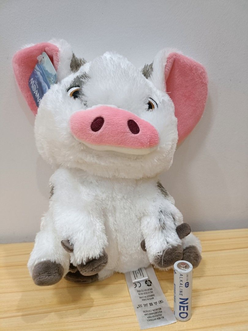 Pua from Moana Plush on Carousell