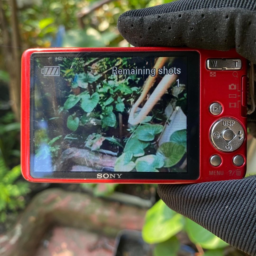 Ruby Red DSC-W650 Sony. Rare color way., Photography, Cameras on Carousell