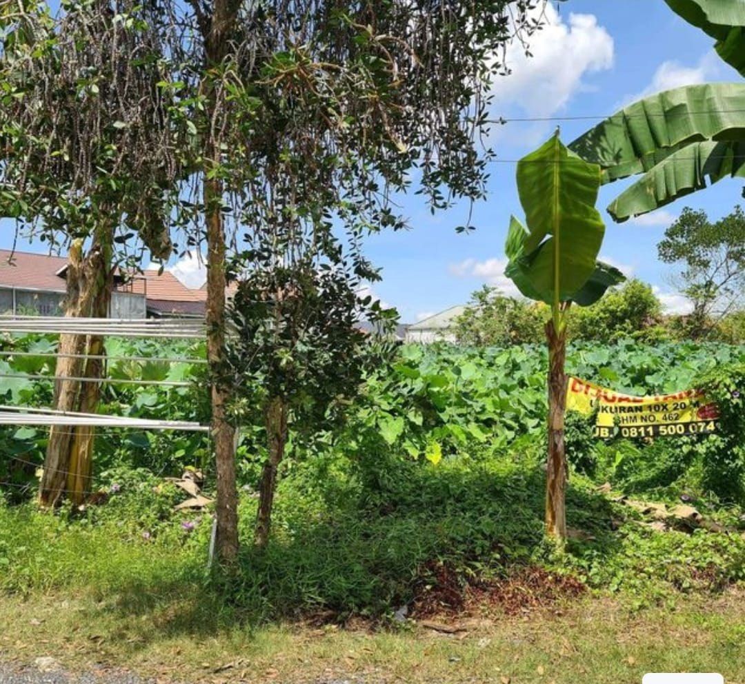 Tanah Ukuran 10 X 20 On Carousell