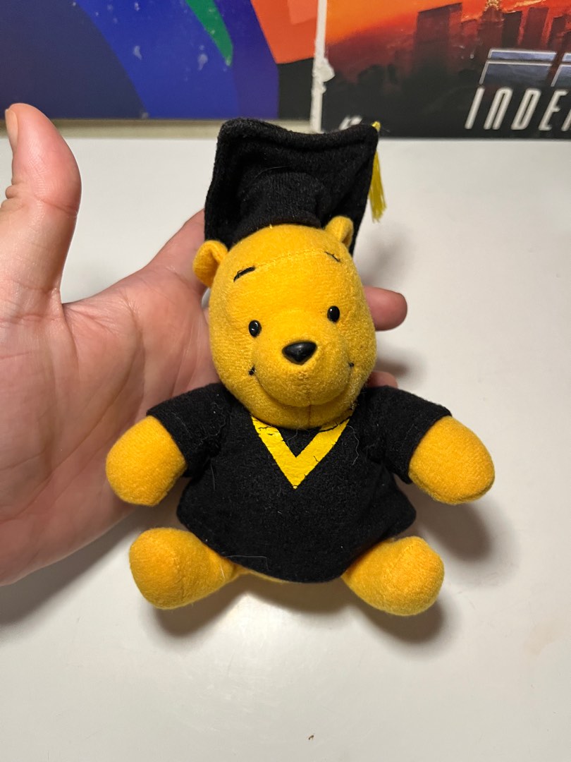 Winnie the Pooh Graduation Plushie Charm, Hobbies & Toys, Toys & Games ...