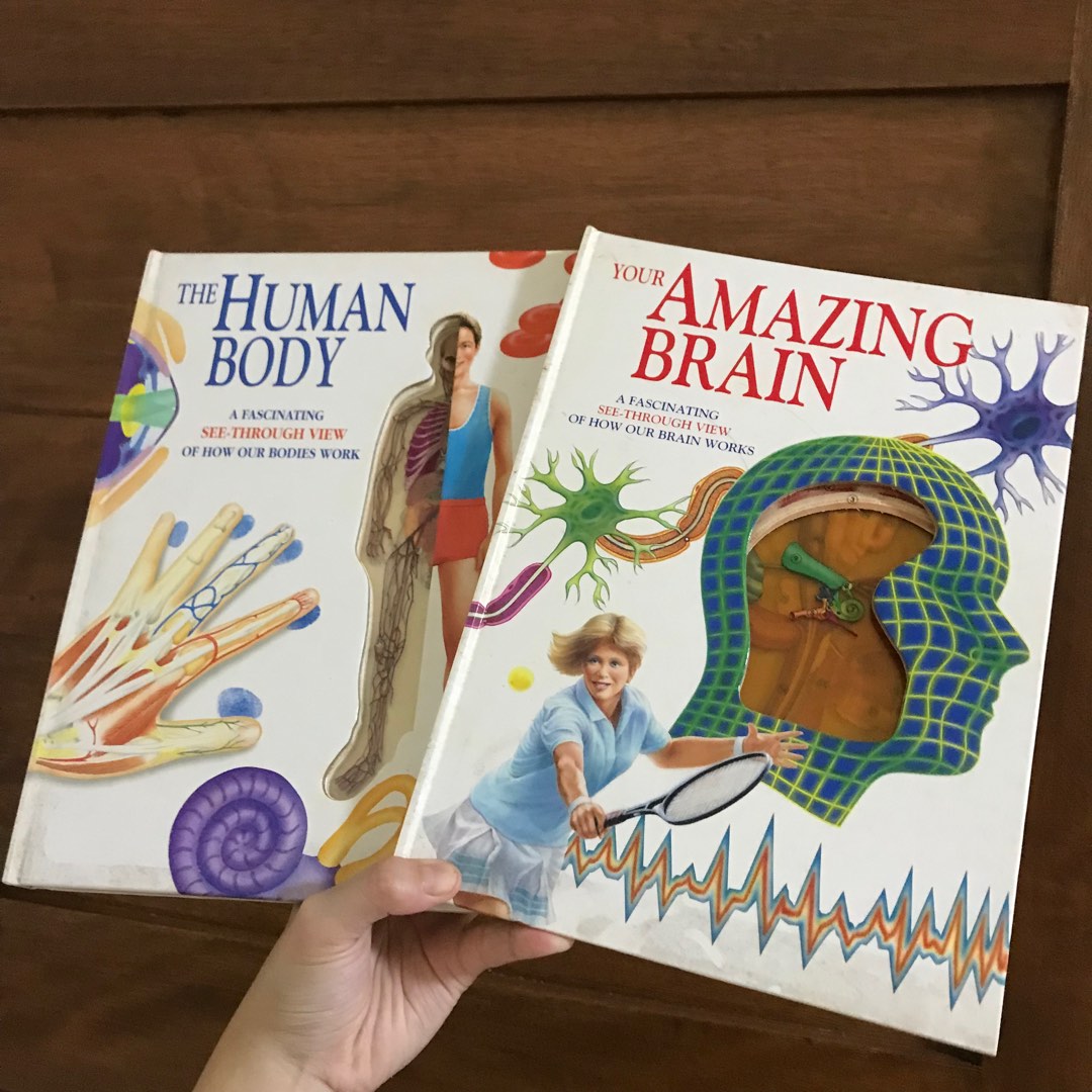 Anatomy Human Body & Brain Educational Book Bundle, Hobbies & Toys ...
