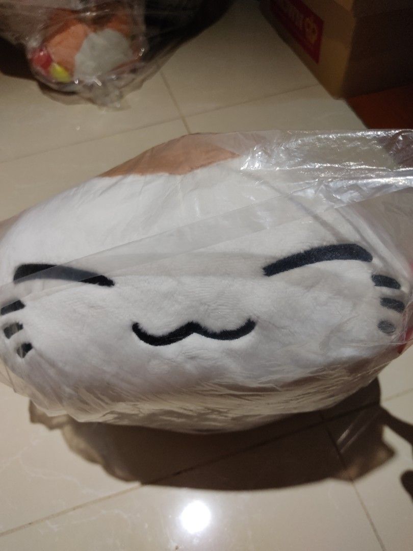 Big cat plush for from claw machine Toreba, Hobbies & Toys, Toys ...