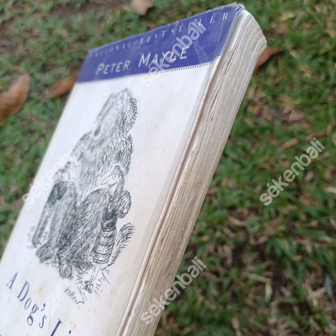 Buku/Novel Preloved Peter Mayle - A Dog's Life (1996), Buku & Alat Tulis, Buku di Carousell