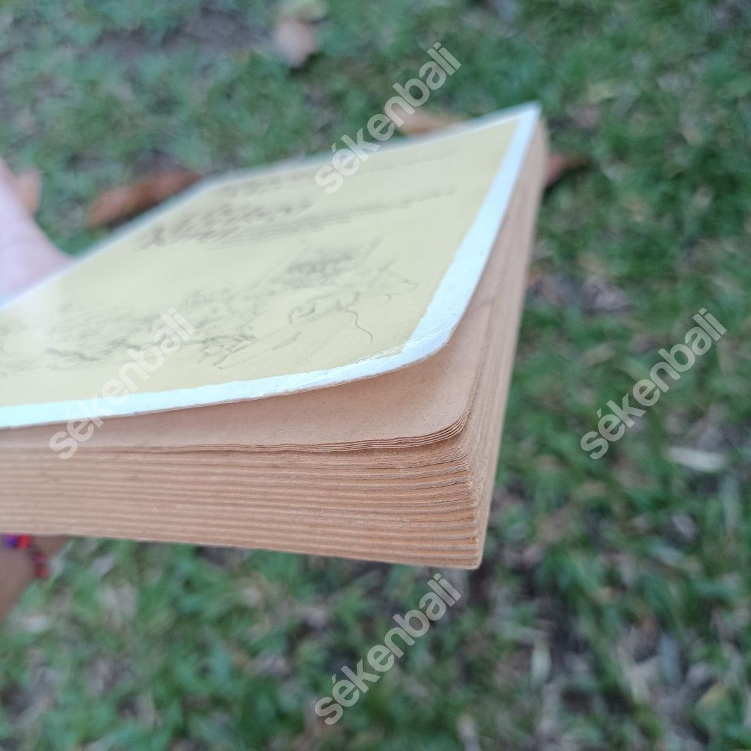 Buku/Novel Preloved Timothy Mo - The Monkey King (1984), Buku & Alat ...