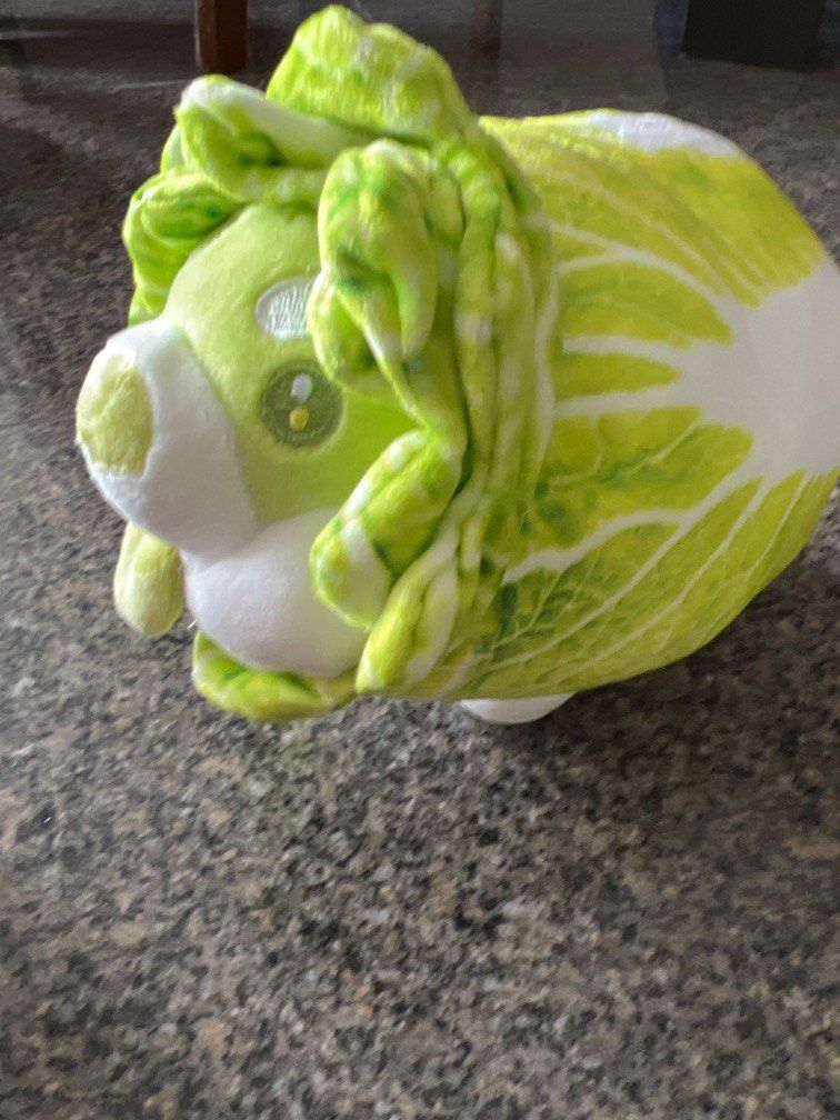 Cabbage dog toy, Hobbies & Toys, Toys & Games on Carousell