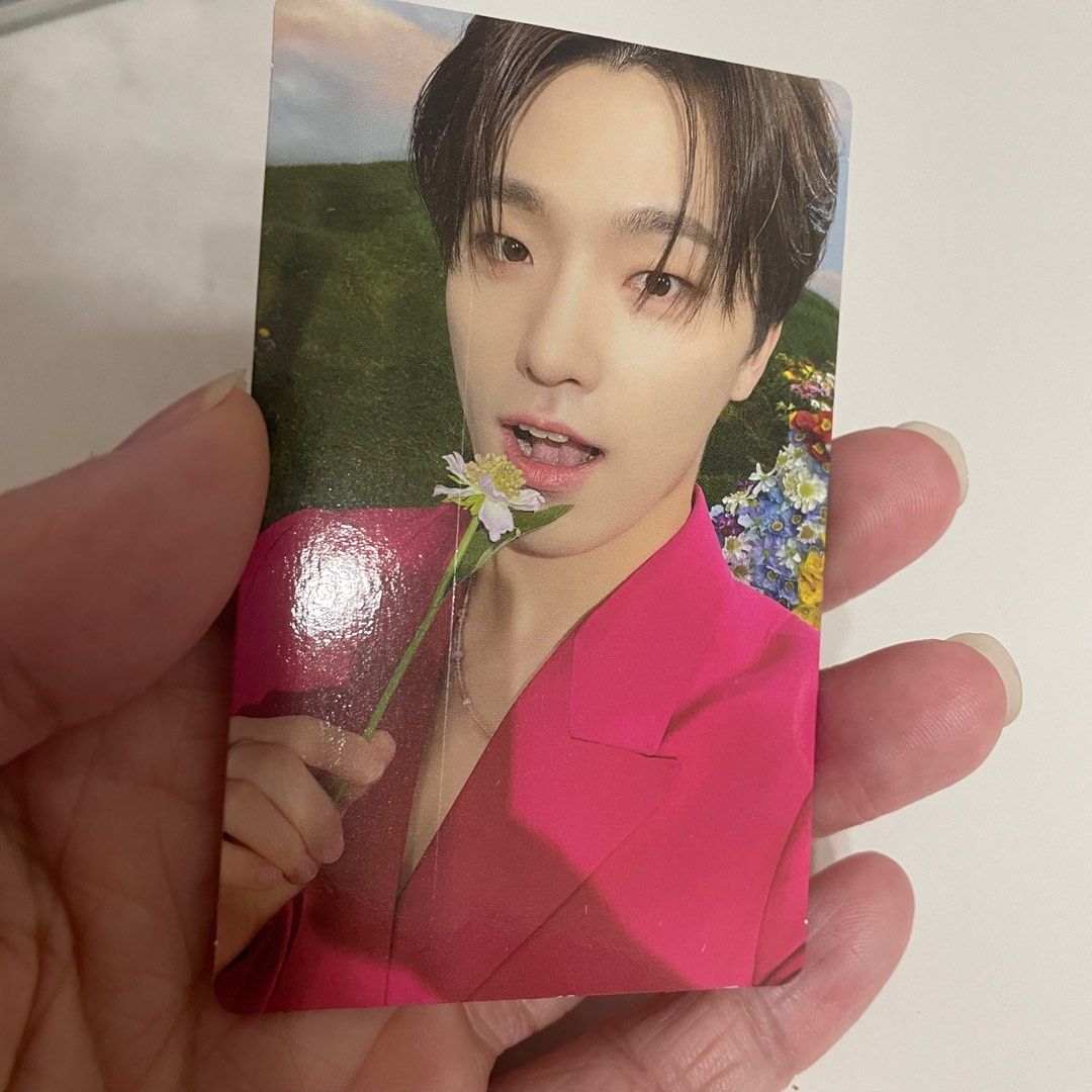 dino sector 17 s17 kihno photocard pc (seventeen svt), Hobbies & Toys ...