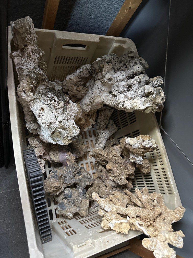 Dry Live Rocks - real live rock, not man made, Pet Supplies, Homes ...