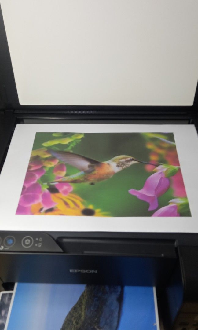 Epson Printer L3110 Eco Tank ( Ink Tank Full), Computers & Tech ...