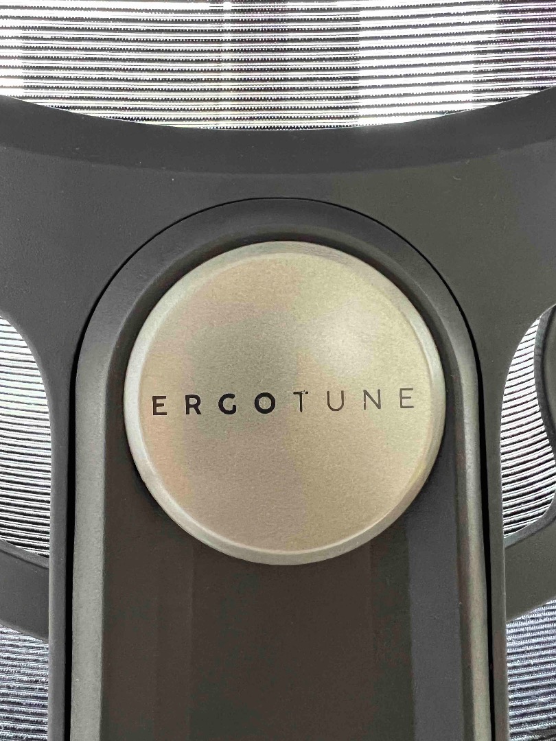 ErgoTune Supreme - Ergonomic Office Chair, Furniture & Home Living ...