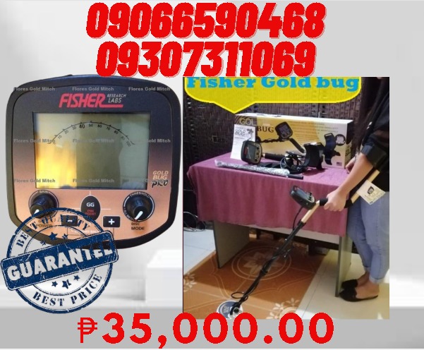 Fisher Gold Bug Scanner Gold Detector, Furniture & Home Living, Home ...