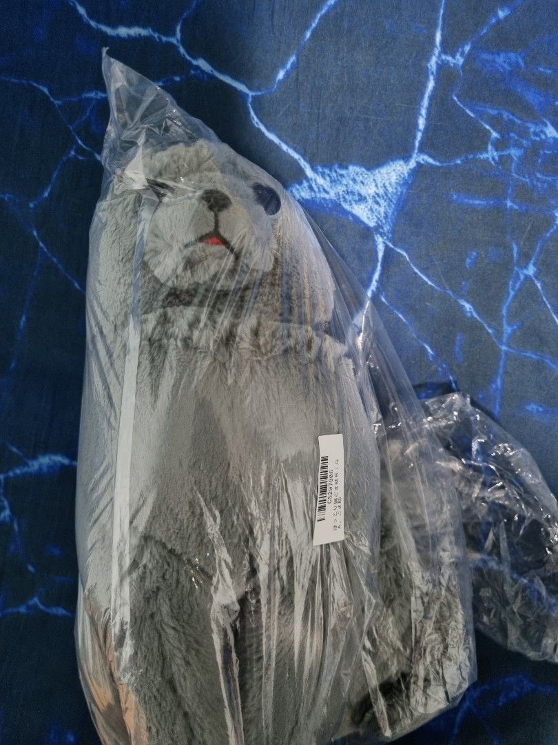 Gomasuke Warm and Fluffy Cat Plush (Toreba), Hobbies & Toys, Toys ...