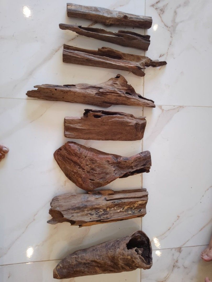 Kayu gaharu kalimantan, Serba Serbi, Others di Carousell