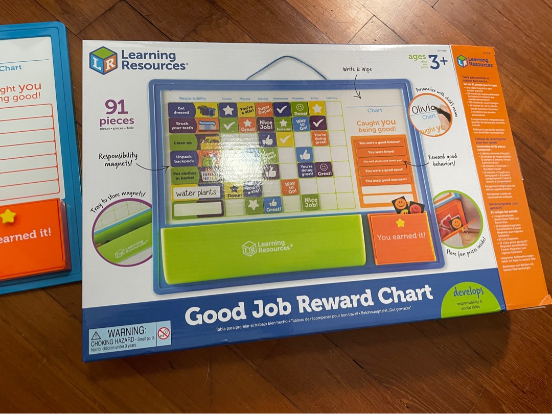 Learning Resources Good Job Reward Chart, Hobbies & Toys, Toys & Games ...