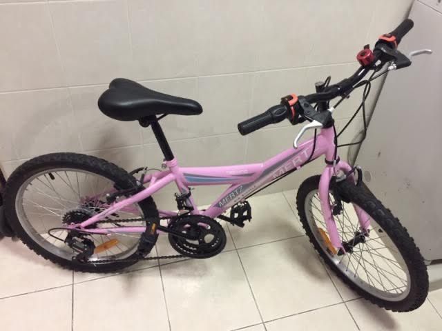 Mertz Kids MTB + Free Aleoca Cartilla U16 Foldable Bike ( If you want ...