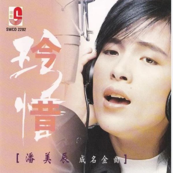 Pan Mei Chen Famous Hit Songs 潘美辰 成名金曲 珍惜今昔 Deluxe Collection 2CD ...