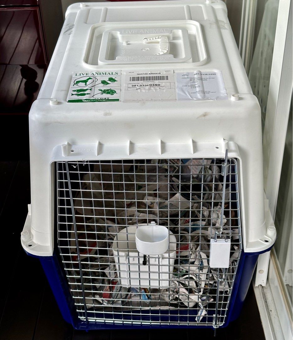 Pet Cage IATA Approved, Pet Supplies, Homes & Other Pet Accessories on ...