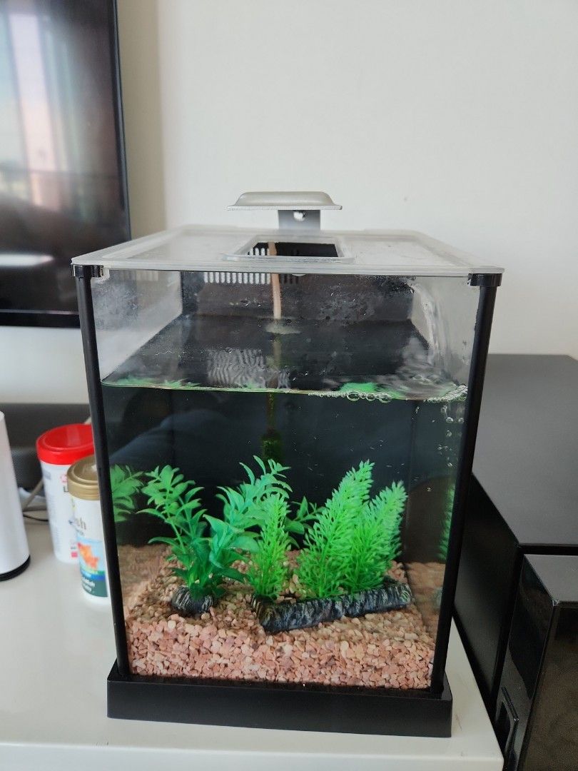 Small fish tank + filter system + bubble system + led, Pet Supplies ...