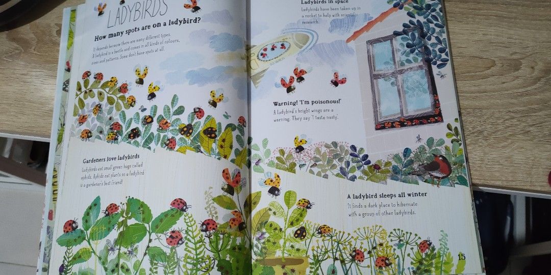 The Big Book of Bugs by Yuval Zommer - buku serangga, Buku & Alat Tulis ...