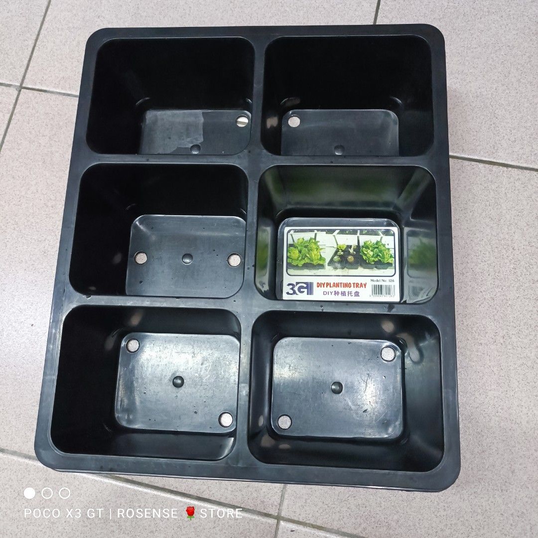 6 holes Vegetable planting Tray Garden Plant semai 6 lubang besar ...
