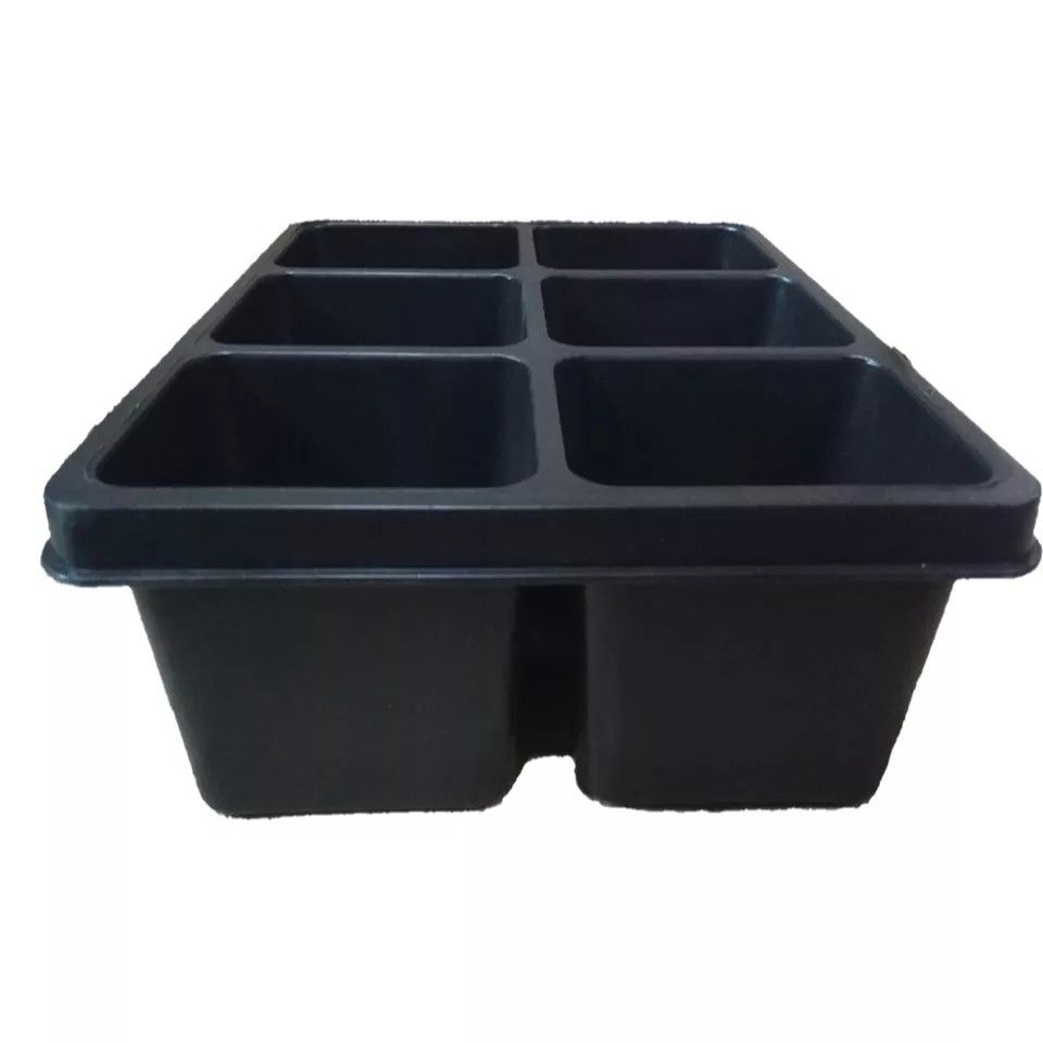 6 holes Vegetable planting Tray Garden Plant semai 6 lubang besar ...