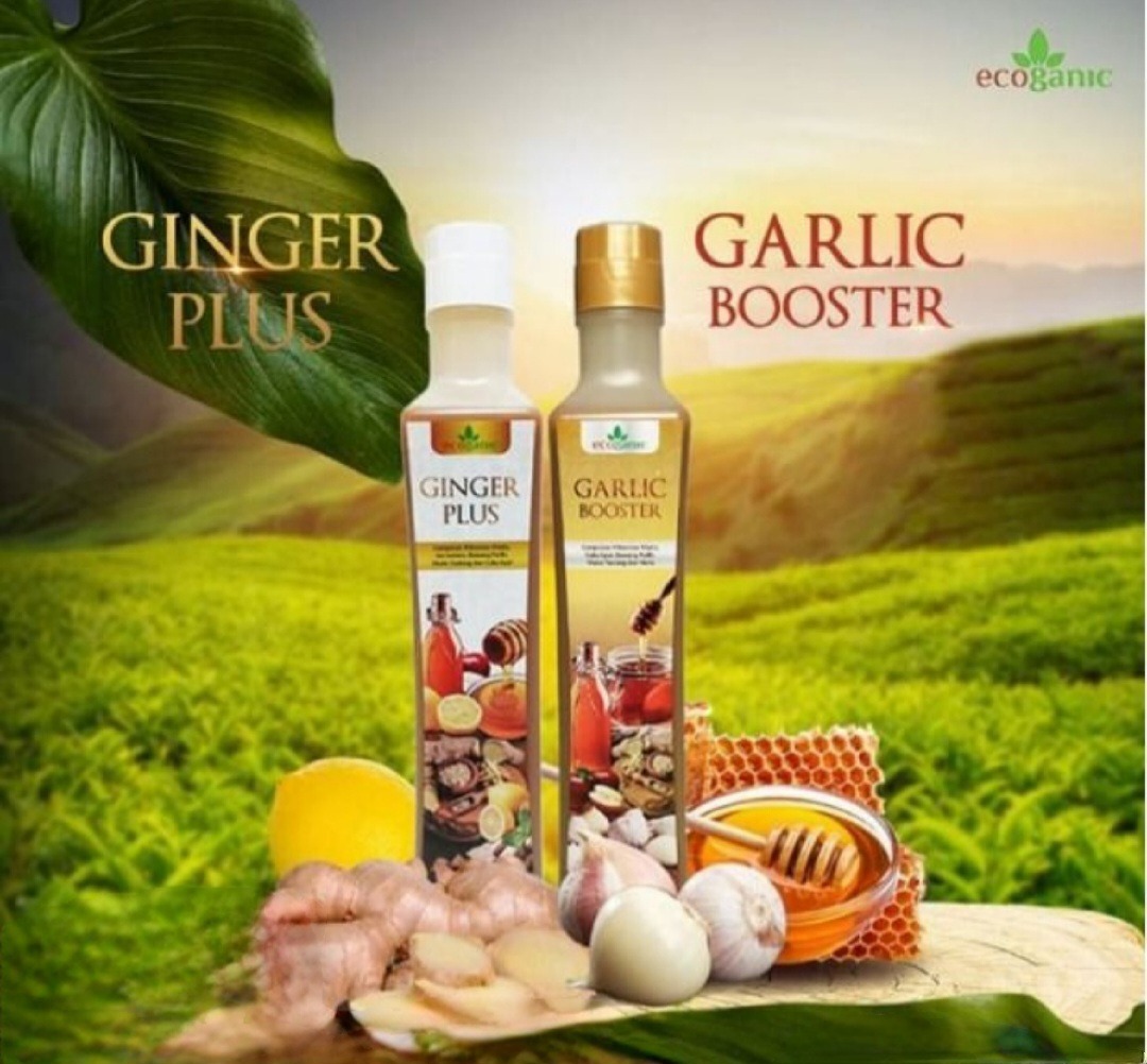 GINGER PLUS/GARLIC BOOSTER, Health & Nutrition, Health Supplements ...