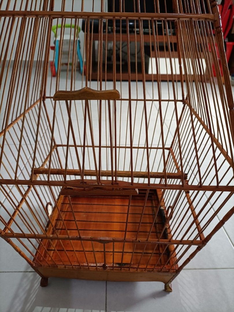 Jambul Bird Cage, Pet Supplies, Homes & Other Pet Accessories on Carousell