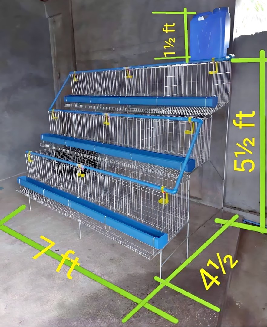 Layer Cages for Chickens on Carousell