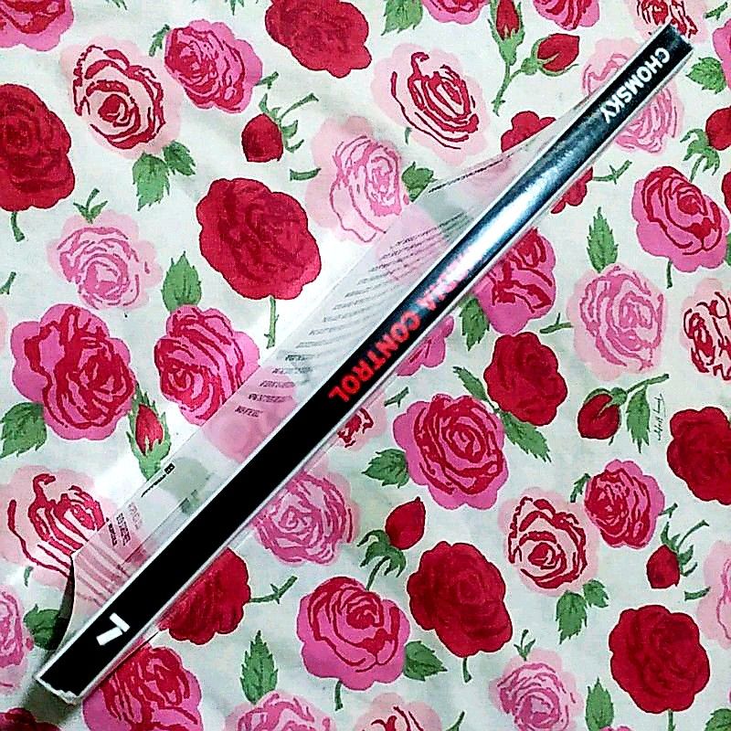 Media Control: The Spectacular Achievements of Propaganda (2nd Edition ...