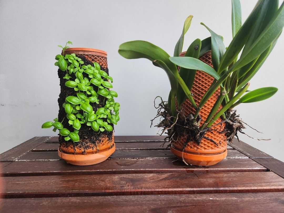 Original Tevaplanter(US) The inside out Planter - A new home for plants ...