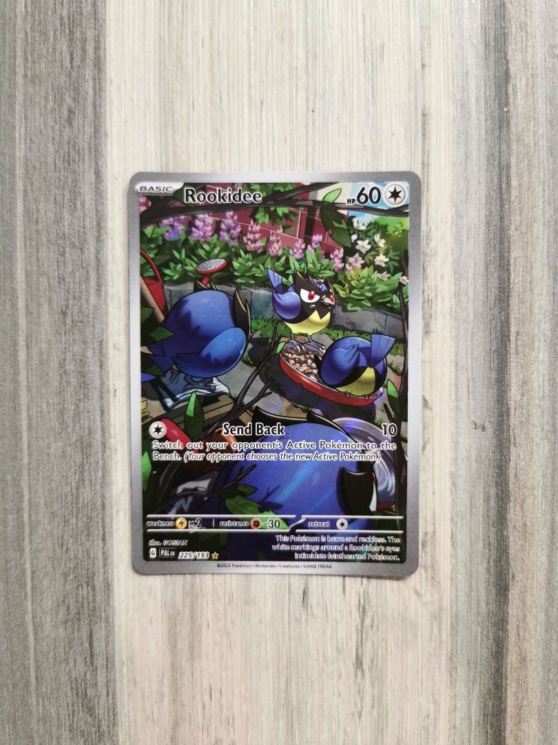 Pokemon TCG Rookidee IR Paldea Evolved, Hobbies & Toys, Toys & Games on ...
