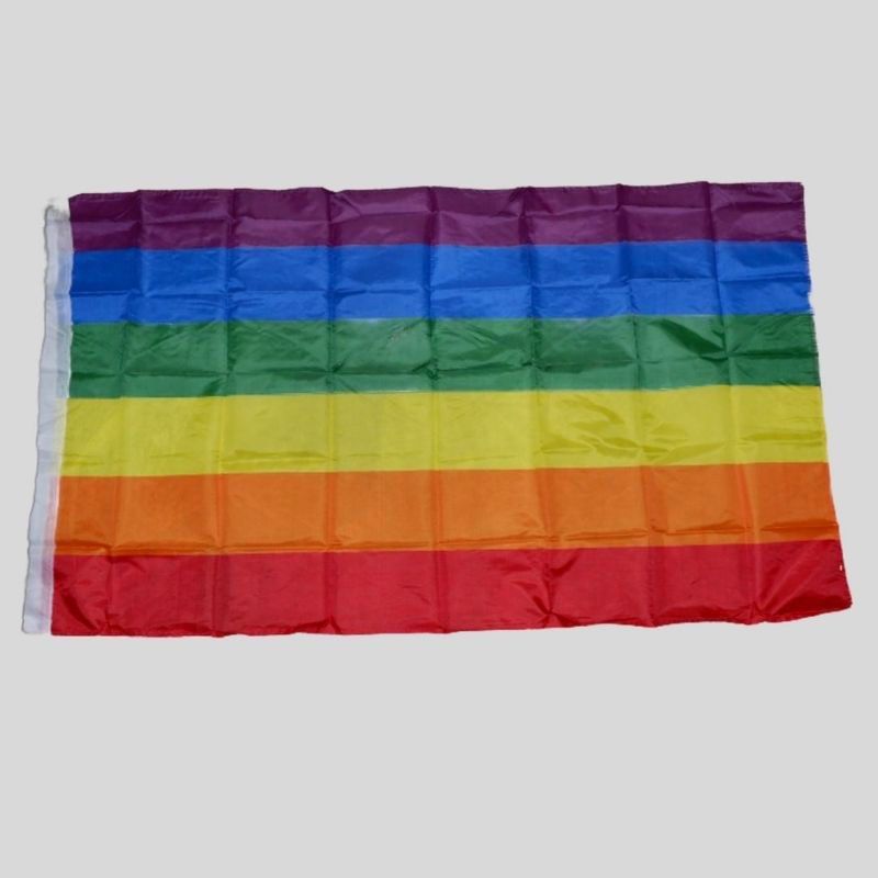 PRIDE/RAINBOW FLAGLETS & FLAG, Hobbies & Toys, Stationary & Craft ...