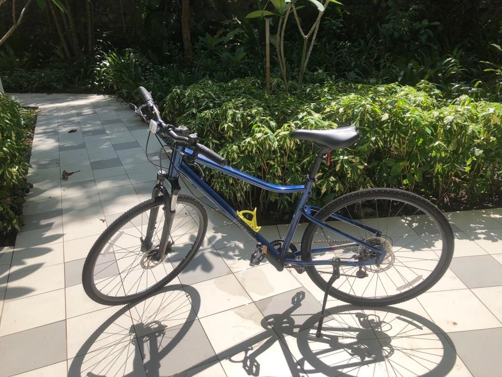 Riverside 500 Disc Brake 9sp Hybrid Bike (Blue), Sports Equipment ...