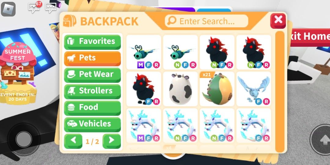 Roblox Adopt Me Pet, Video Gaming, Gaming Accessories, In-Game Products ...