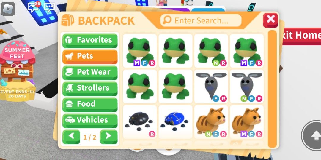 Roblox Adopt Me Pet, Video Gaming, Gaming Accessories, In-Game Products ...
