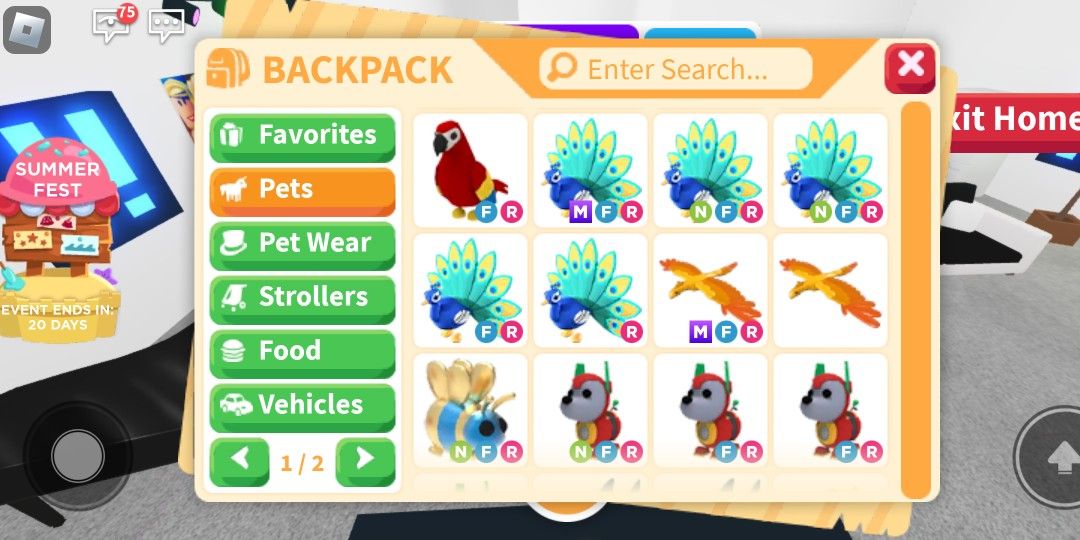 Roblox Adopt Me Pet, Video Gaming, Gaming Accessories, In-Game Products ...