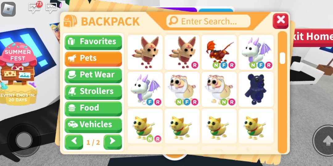 Roblox Adopt Me Pet, Video Gaming, Gaming Accessories, In-Game Products ...