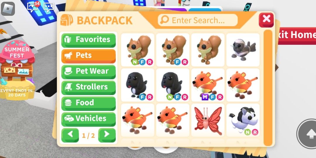 Roblox Adopt Me Pet, Video Gaming, Gaming Accessories, In-Game Products ...