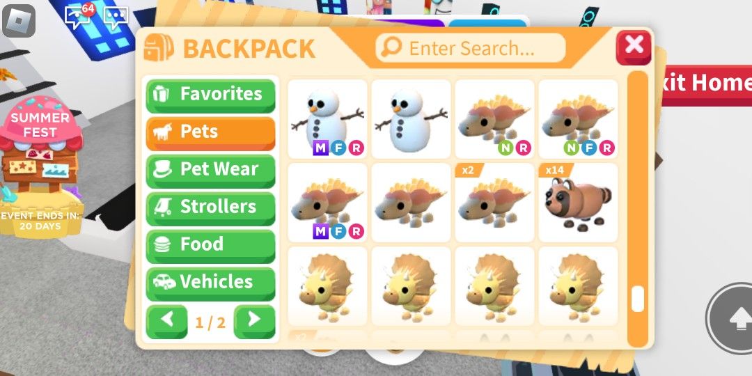 Roblox Adopt Me Pet, Video Gaming, Gaming Accessories, In-Game Products ...