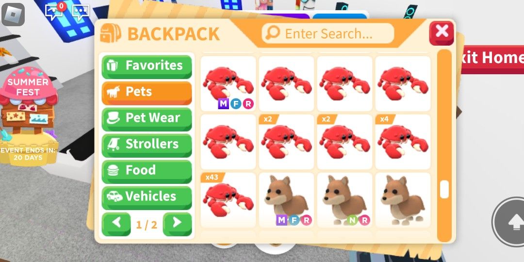 Roblox Adopt Me Pet, Video Gaming, Gaming Accessories, In-Game Products ...