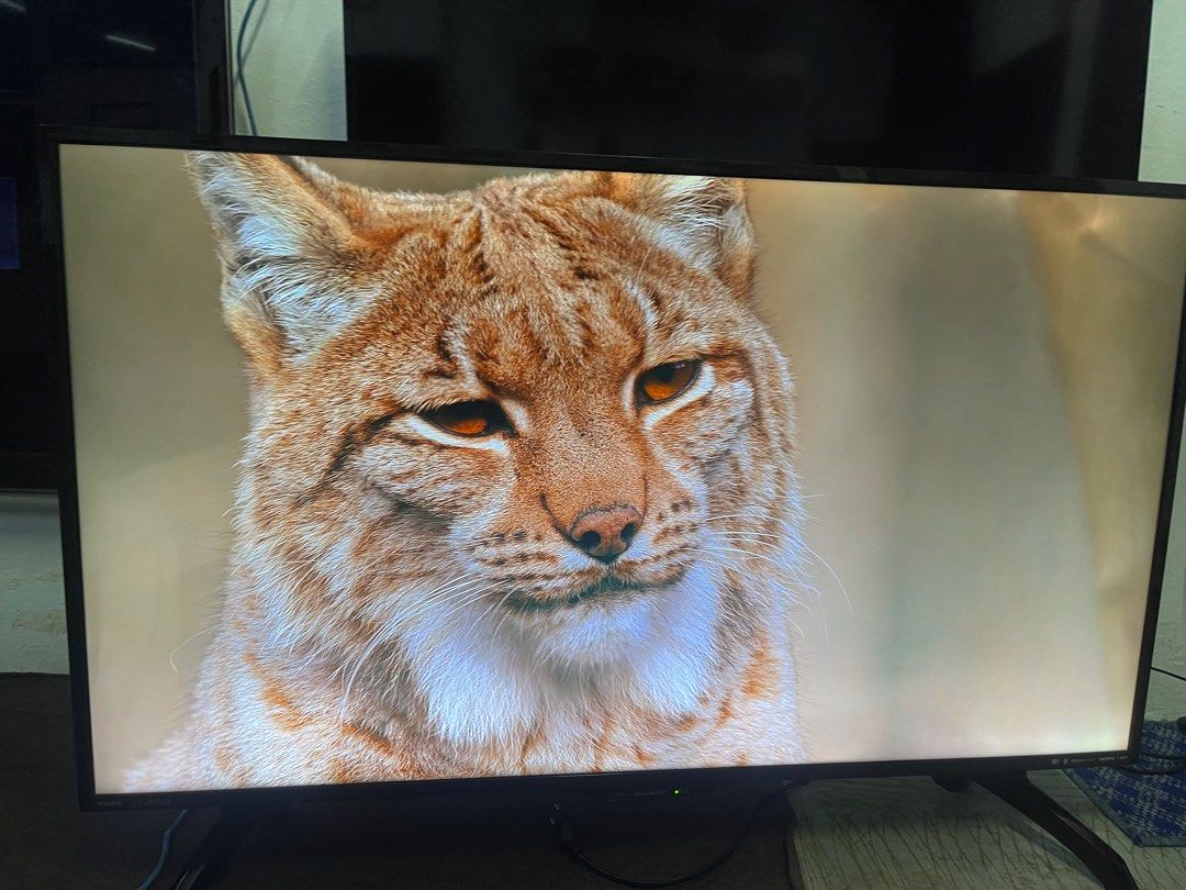 Sharp 45 inch Android 4K uHD led, TV & Home Appliances, TV ...
